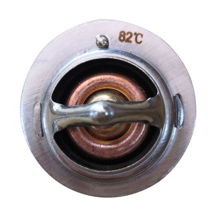 Thermostat 25-3923601 Thermo King Carrier