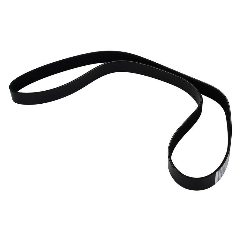 Belt 8pk1443 Cummins