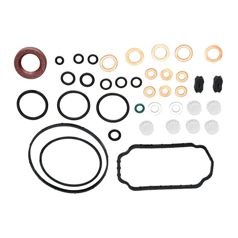 Injection Pump Rebuild Kit 1467010059 Bosch Cummins Dodge Denso Kiki Zexel