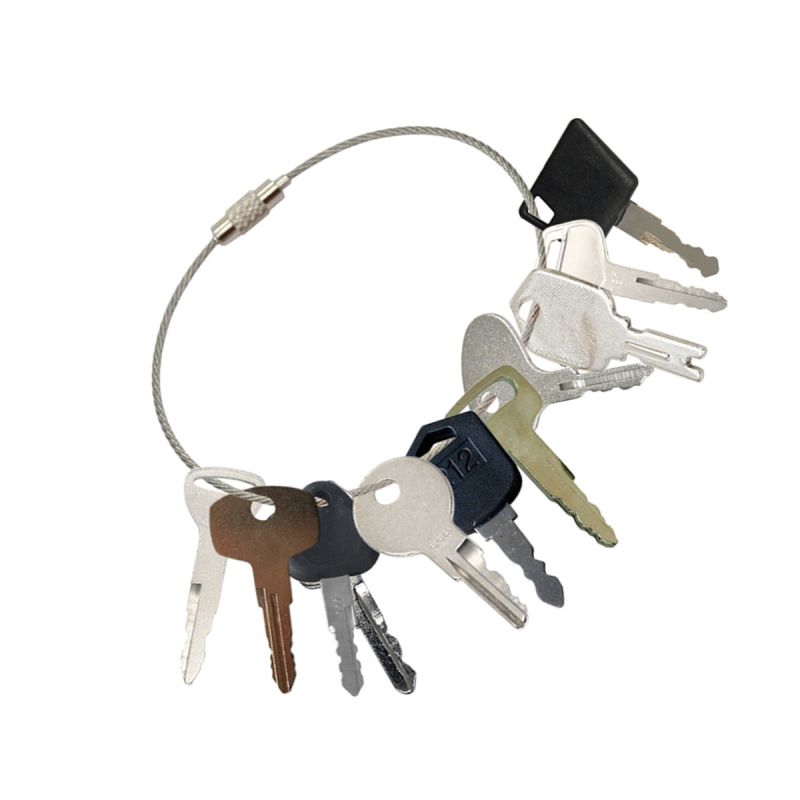 11Pcs Ignition Keys Toyota New Holland Volvo