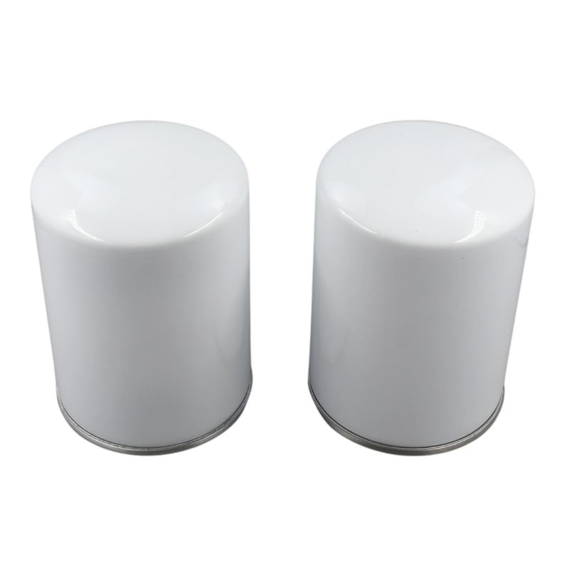 2 Pack Hydraulic Filter 3607790M1 Massey Ferguson