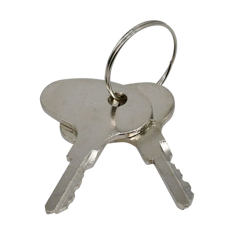 2 PCS Ignition Keys 12343 Mitsubishi Kubota Caterpillar International ...
